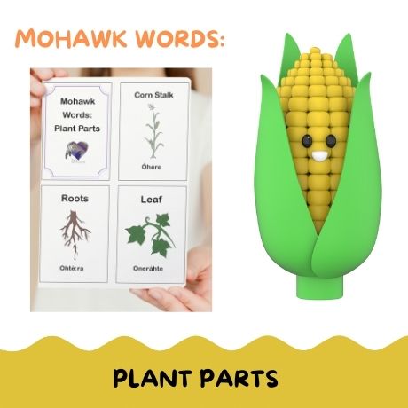 Vocabulary Lists – Teach Native Culture